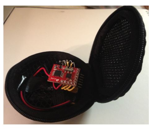 In-Shoe Physical Activity Recording System | Lippert Engineering LLC